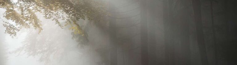 Live Fog Radar: Real-Time Ground Visibility Map