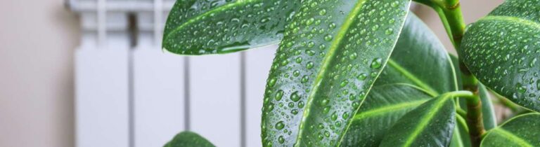 Live Humidity Tracker: Real-Time Moisture & Humidity Map