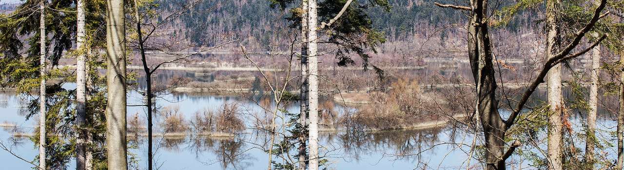 Real-Time Rain Accumulation: Live Rainfall Totals & Analysis