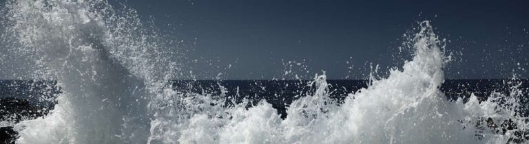 Live Wave Radar: Real-Time Ocean Wave Height Map